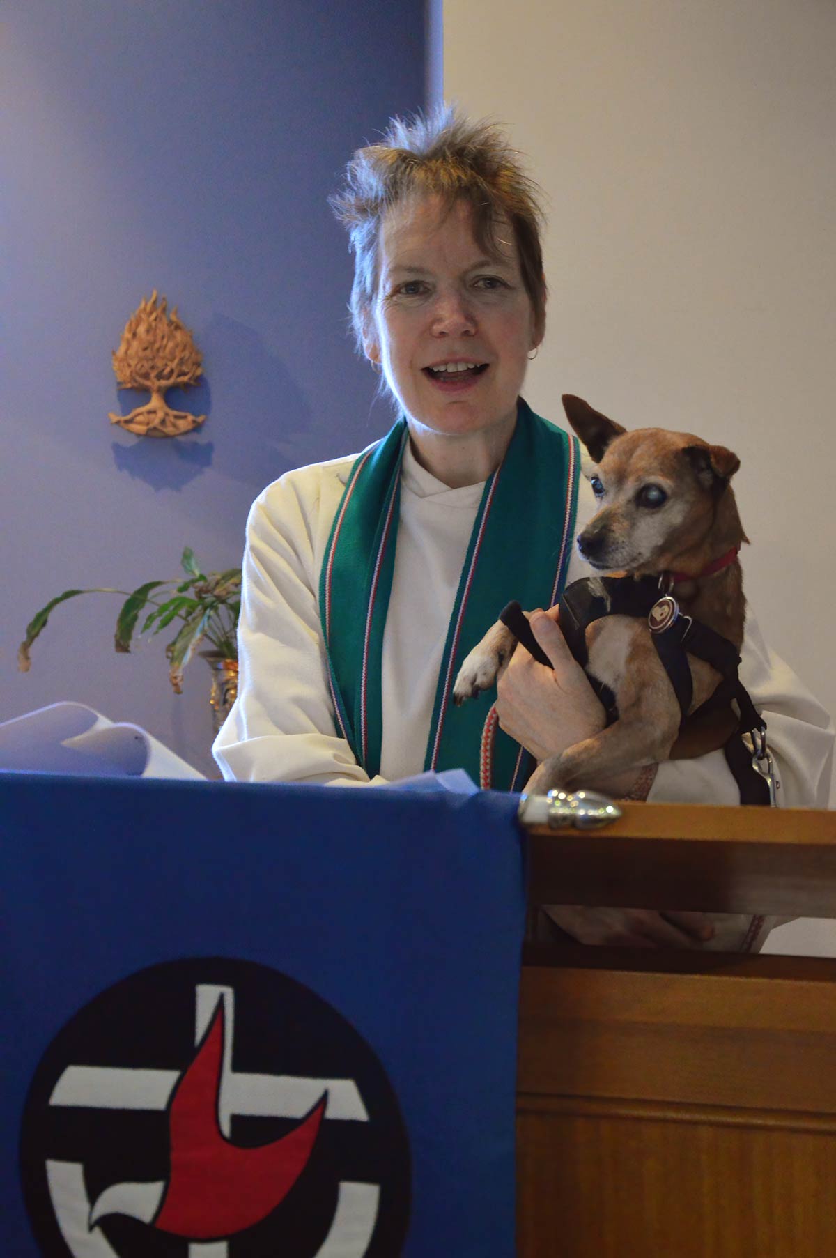 Purpose-built, pet friendly facilities will always have a waiting list ...